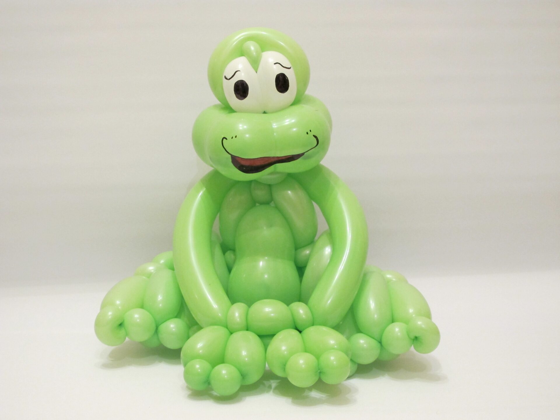 Balloon Art Design DVD 9 - The Balloon Artistes Guild